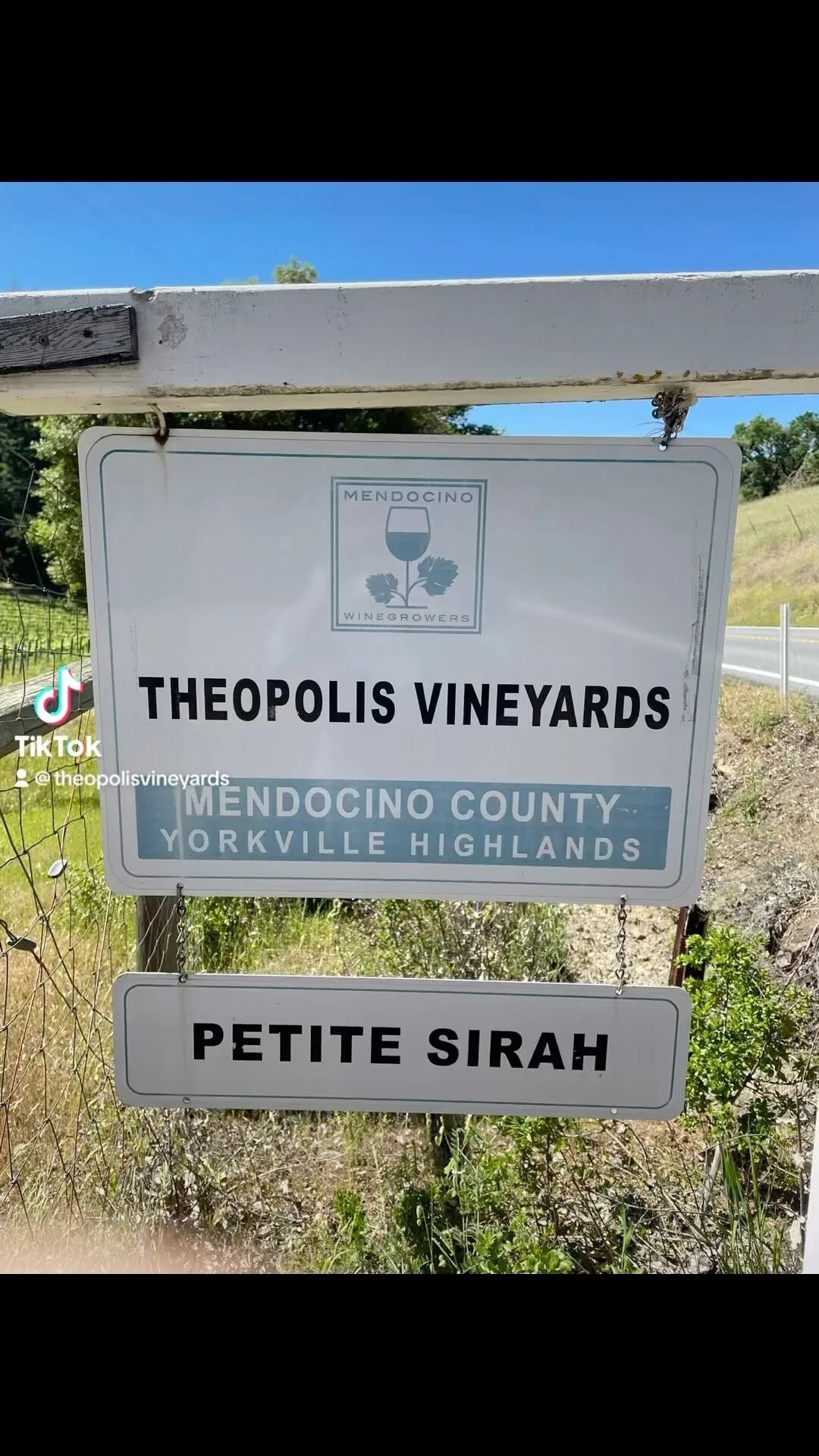 Theopolis Vineyards