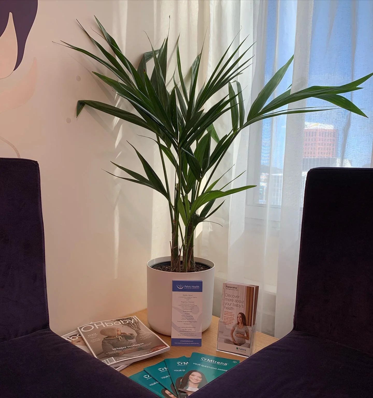 percept NIPT screening — Wellington Obstetrics