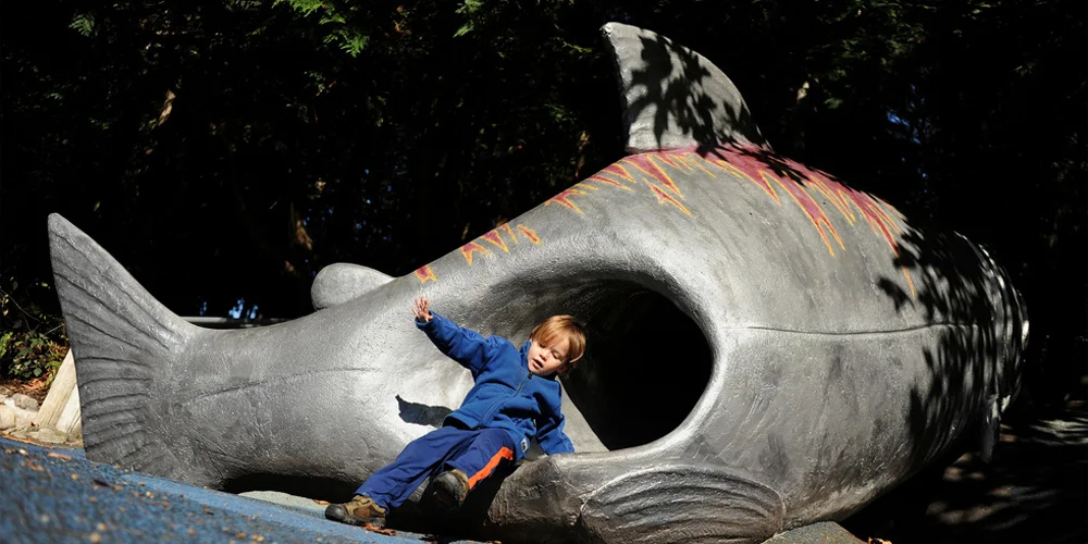 Detail Carkeek Park Playground — Environmental Works