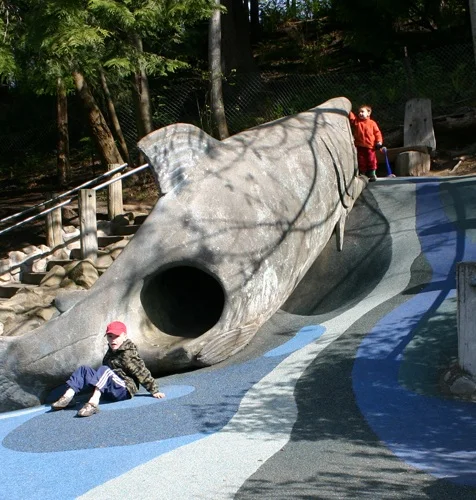 Detail Carkeek Park Playground — Environmental Works
