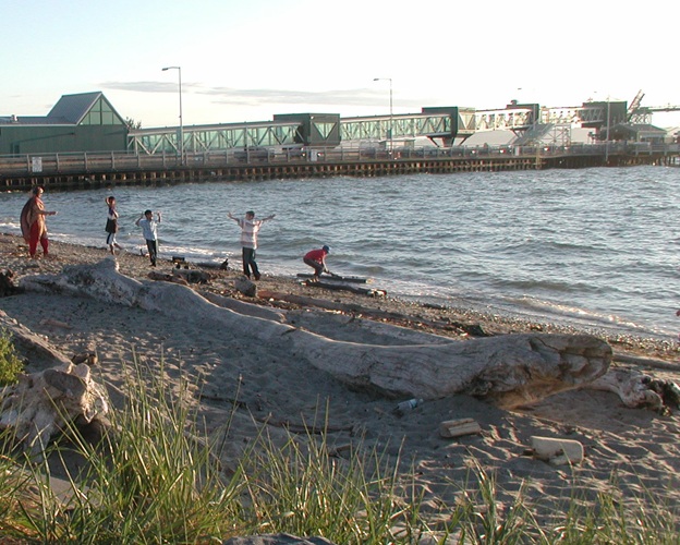 Detail Edmonds Waterfront Parks — Environmental Works