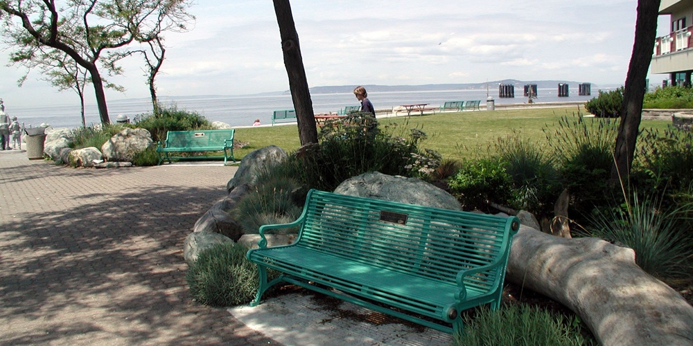 Detail Edmonds Waterfront Parks — Environmental Works