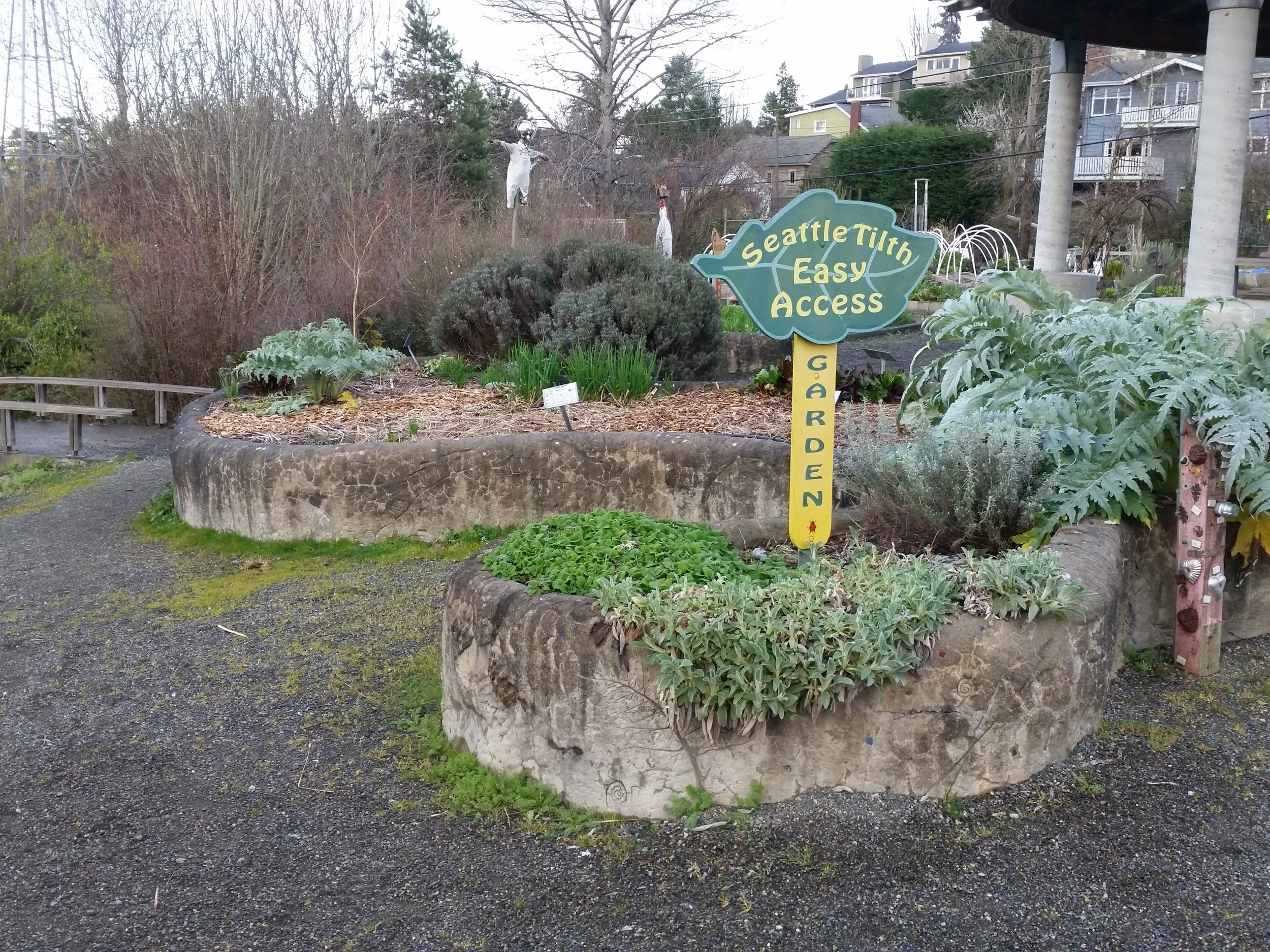 Detail LAND P Patch Rejuvenation Project — Environmental Works