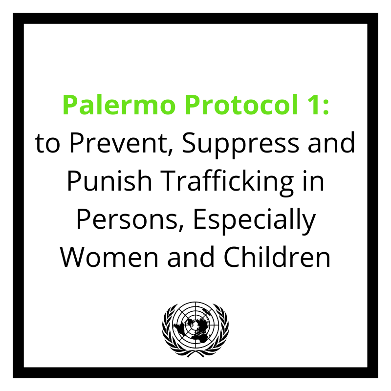 Palermo Protocols — LIFT International