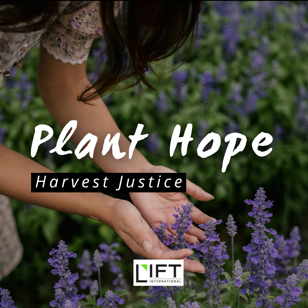 Plant Hope, Harvest Justice — LIFT International