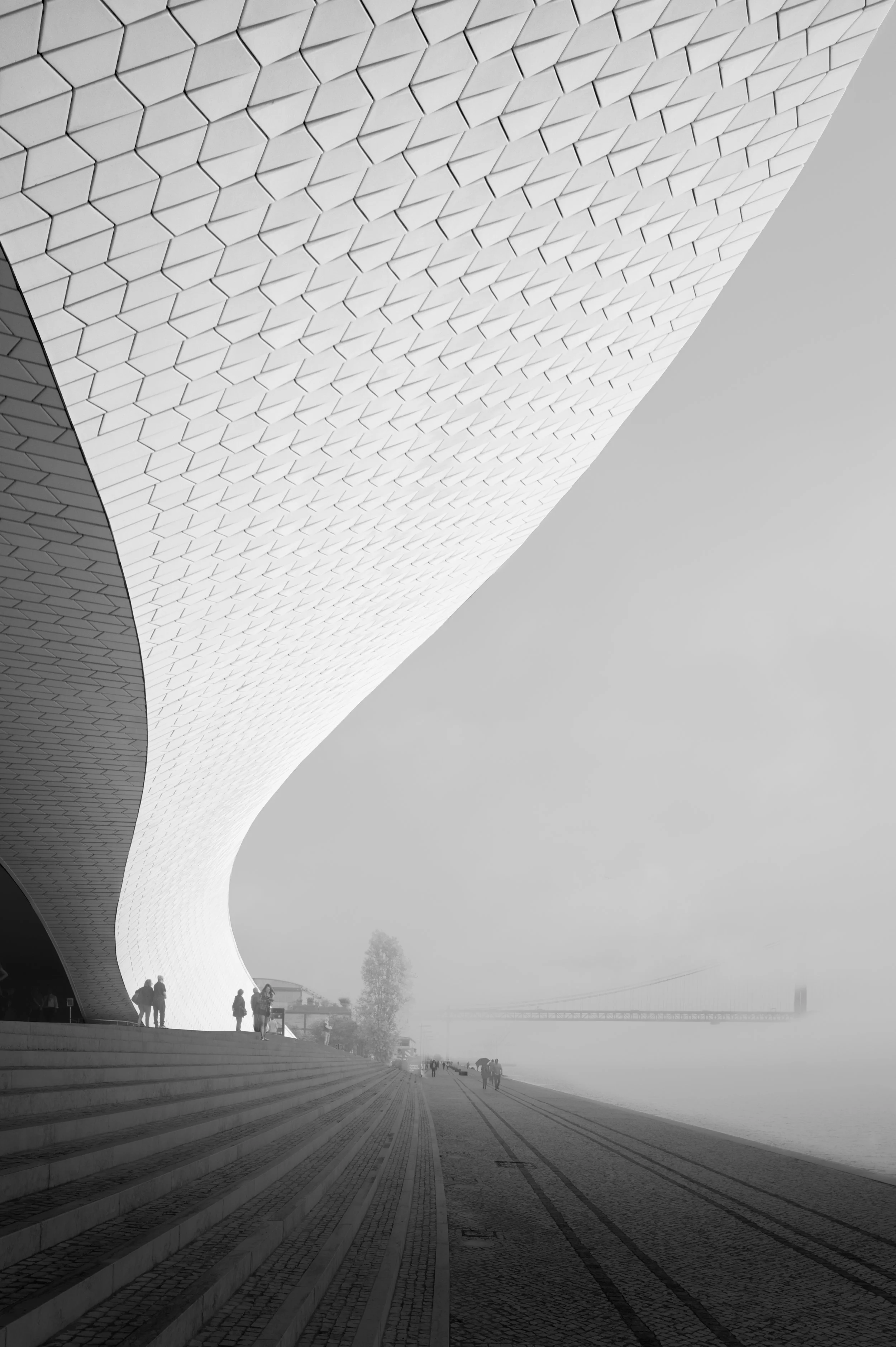 Tonal Geometry (2018-2022) — Lesley MacGregor Photography