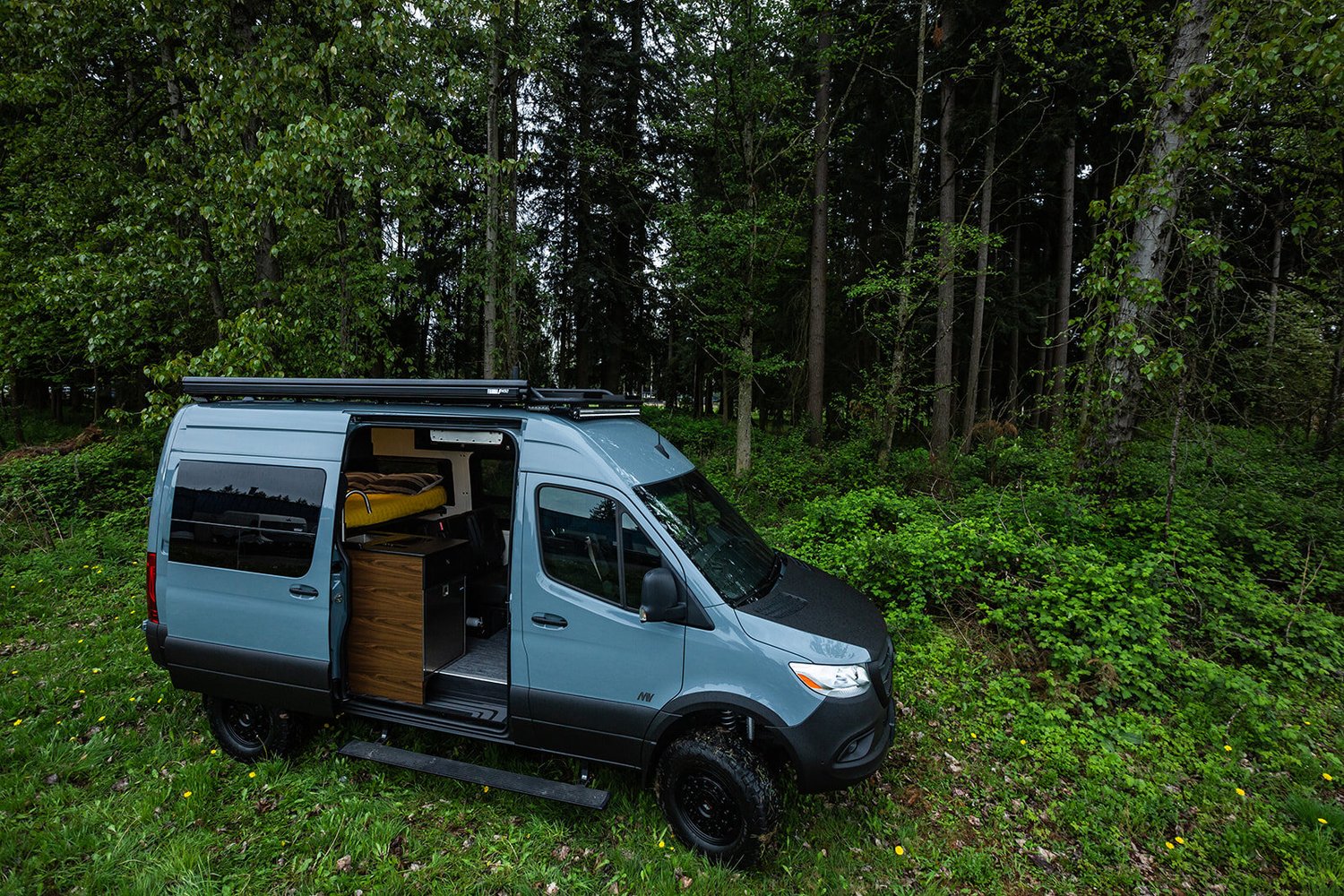 Momentum Vans