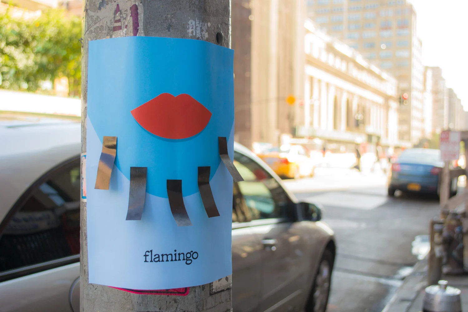 Flamingo — Paola Delgado