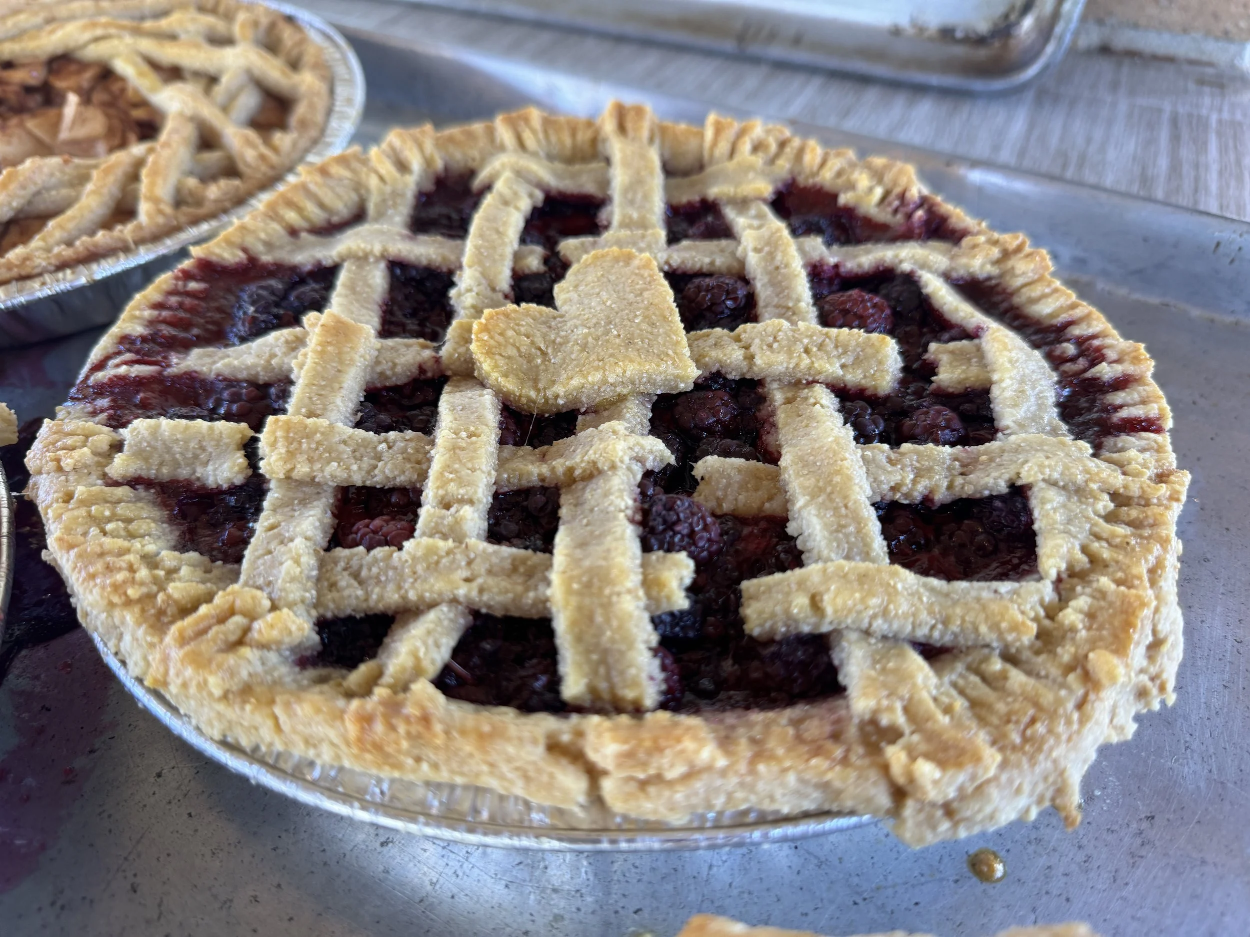 Pie Ranch’s Community Programs for Social Change — Pie Ranch