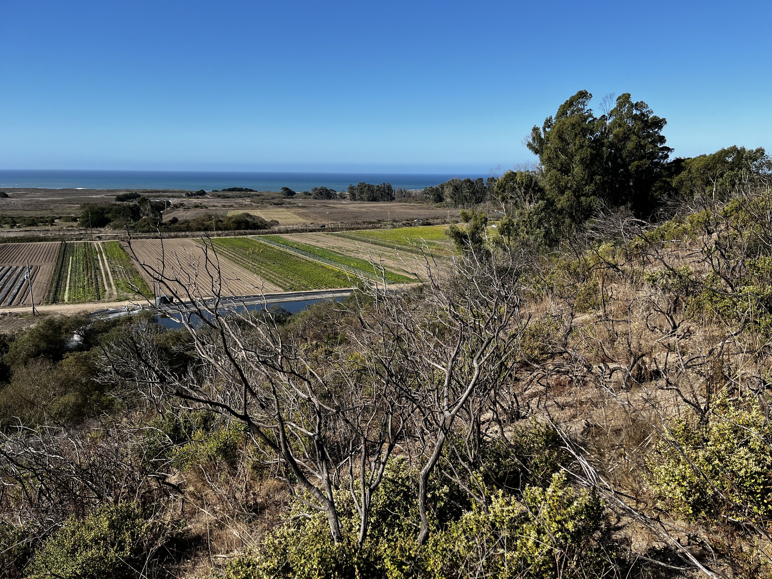 Cascade Regenerator — Pie Ranch