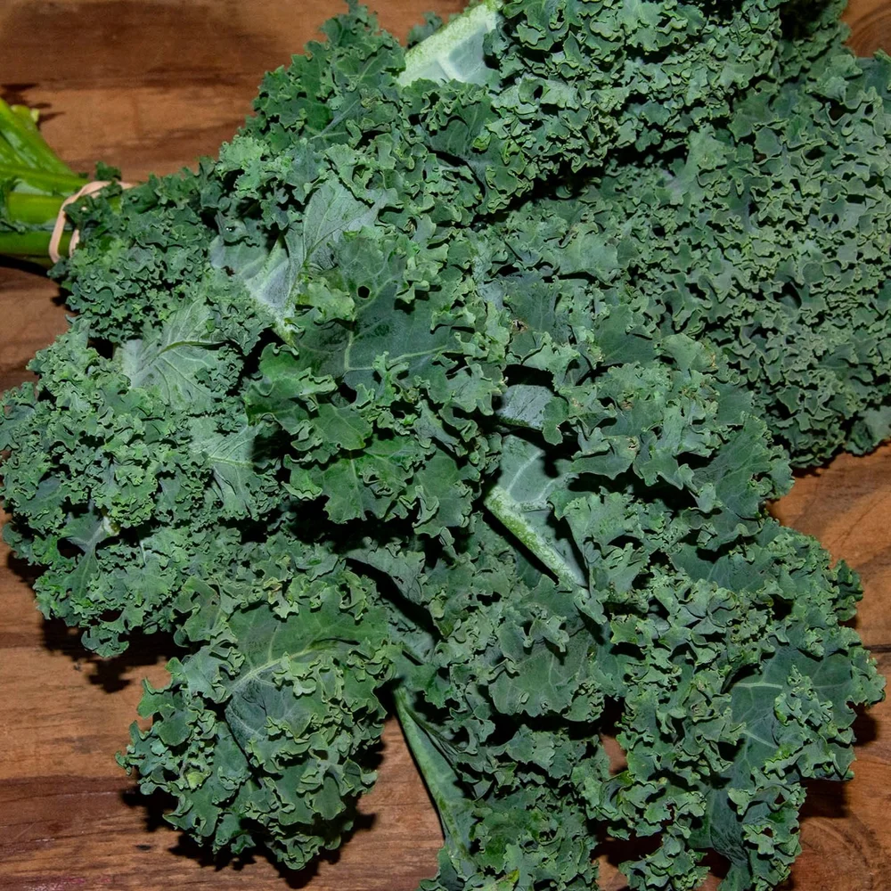 Seasonal Vegetable Calendar — Heron Pond Farm