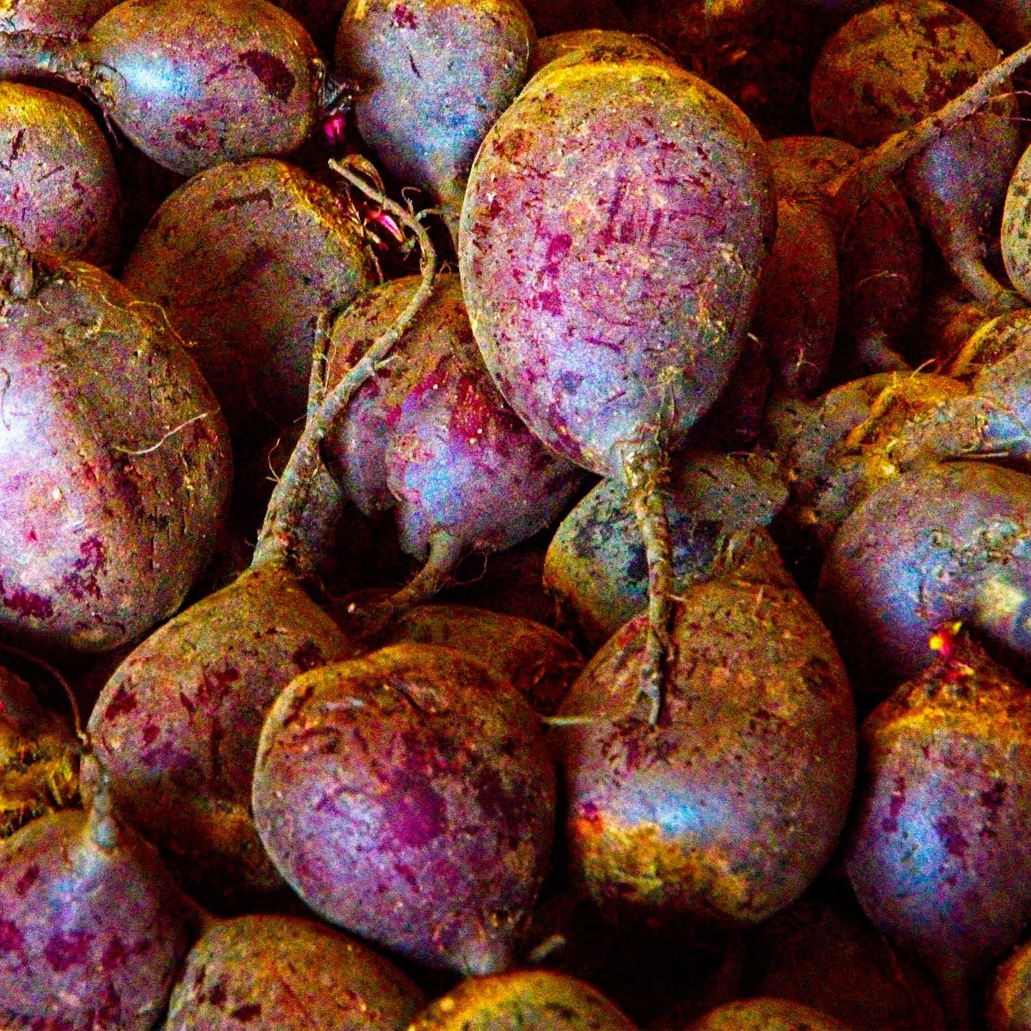 Seasonal Vegetable Calendar — Heron Pond Farm