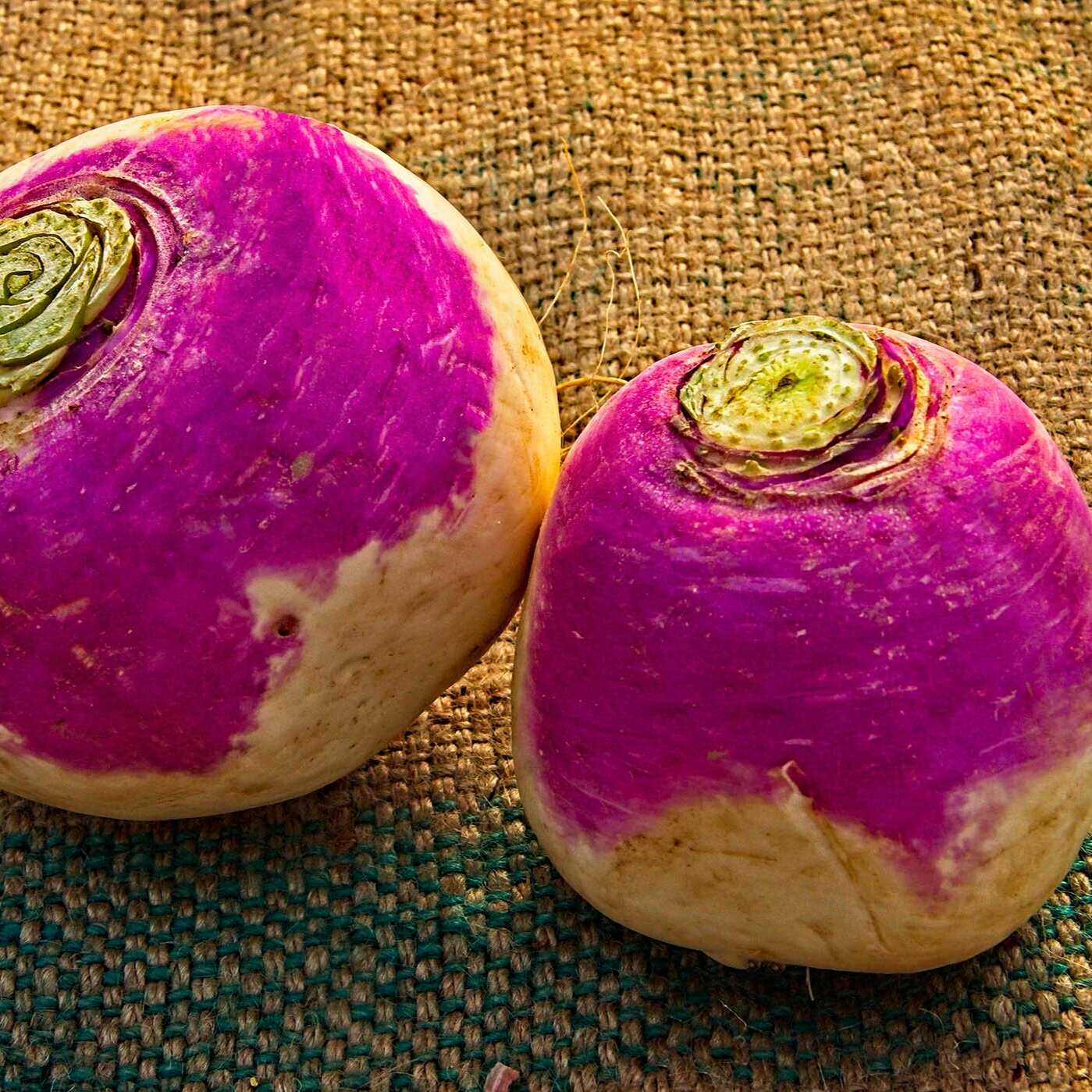 Seasonal Vegetable Calendar — Heron Pond Farm