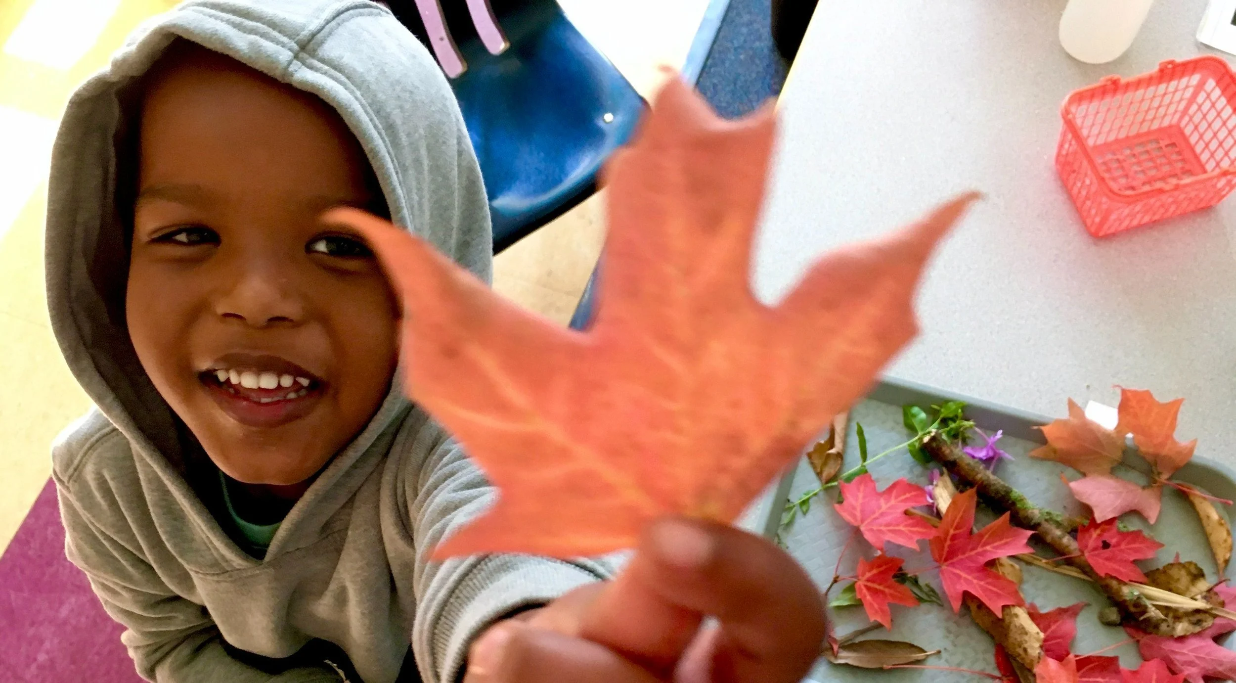 Nature-Based Education — Elmina B. Sewall Foundation