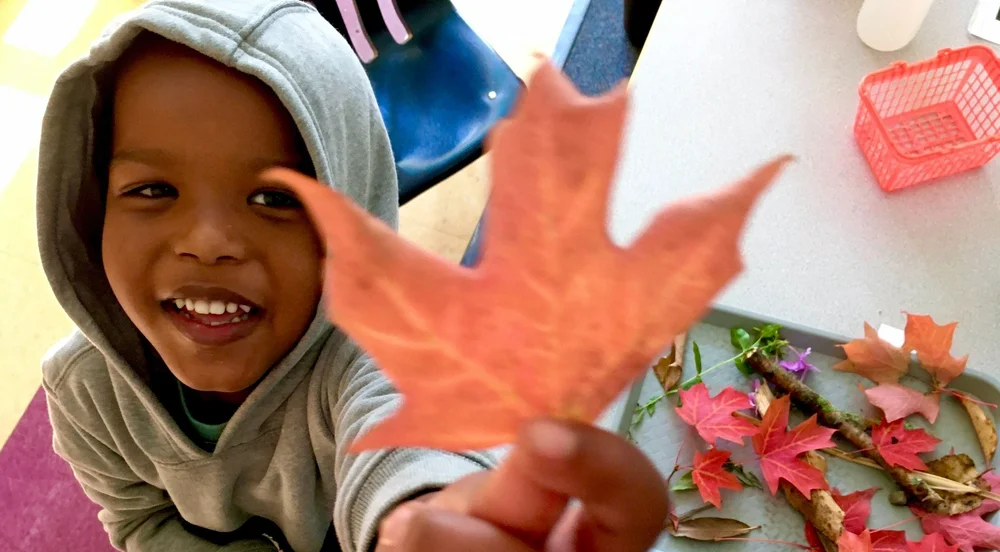 Nature-Based Education — Elmina B. Sewall Foundation