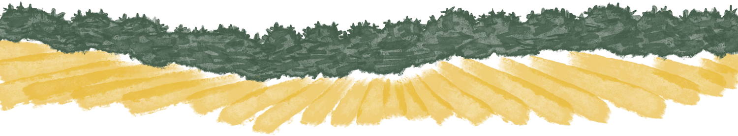 Approach — Elmina B Sewall Foundation