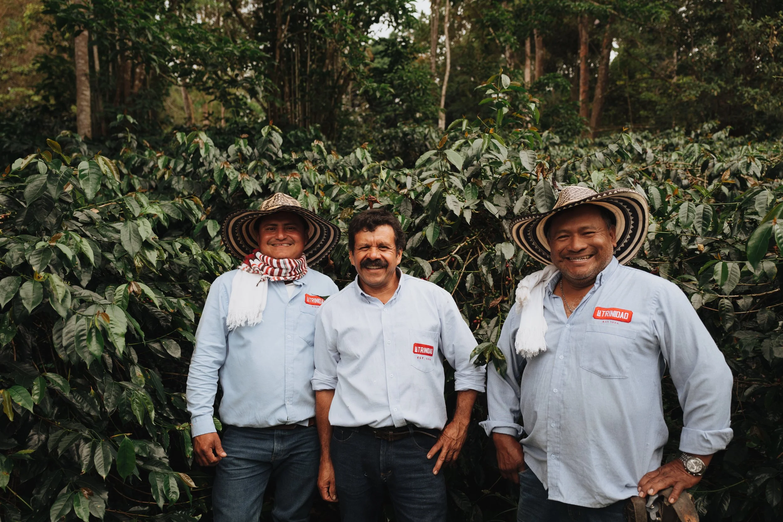 Cafetal de la Trinidad