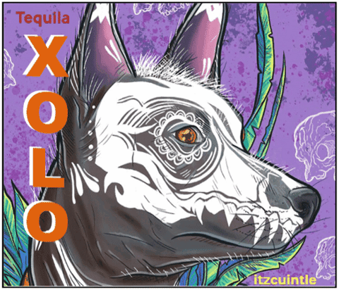 XOLOITZCUINTLE — IN AGAVE WE TRUST