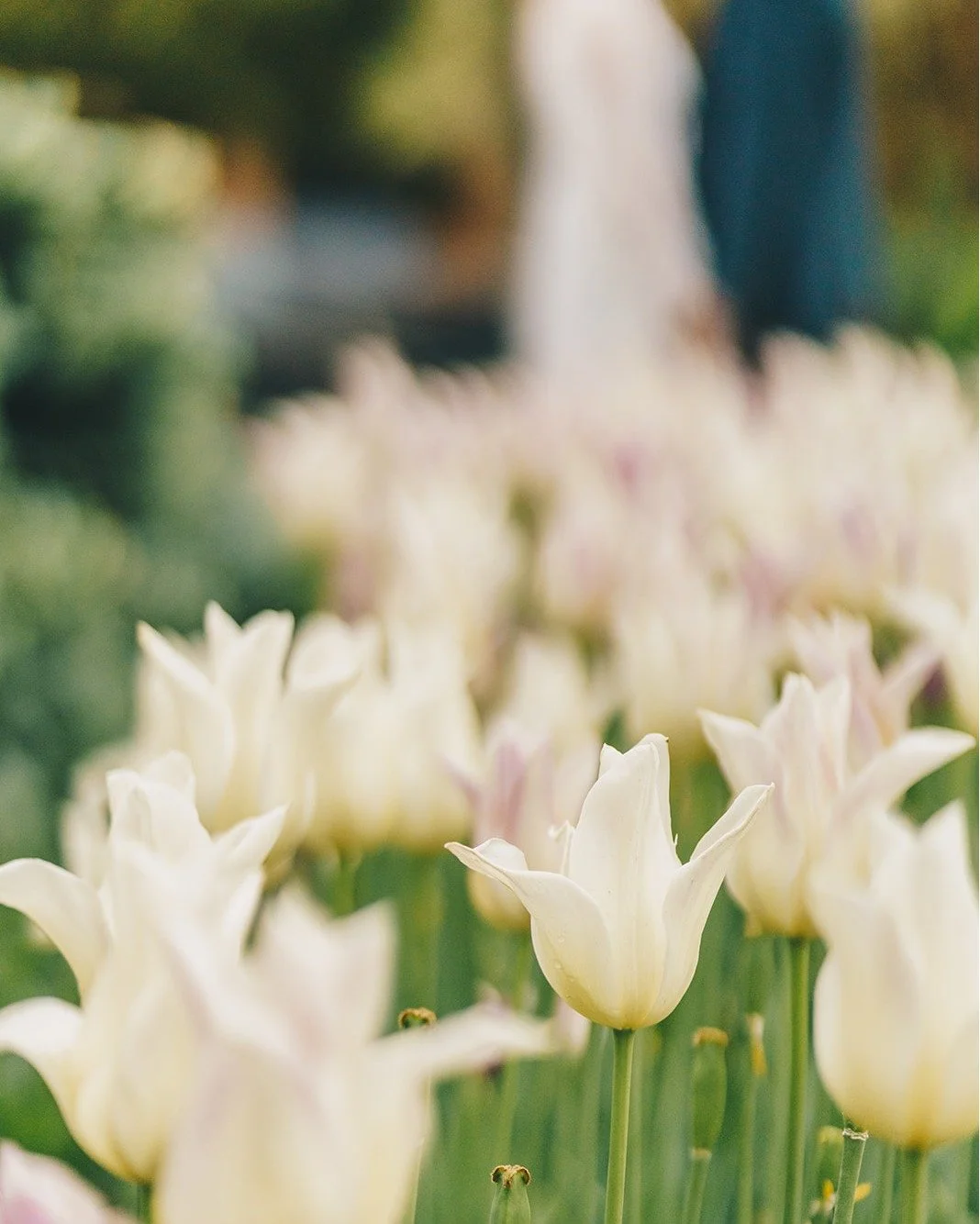 How to Make Your Wedding a One-of-a-Kind Experience