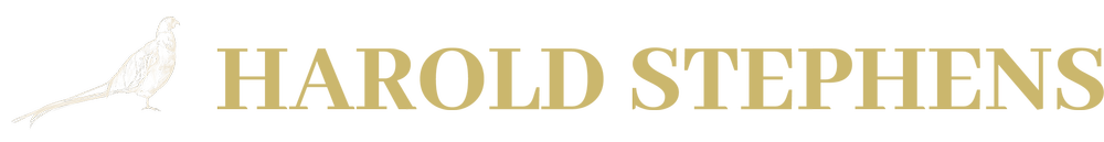 Independent Financial Advisor (IFA) Bristol | Harold Stephens