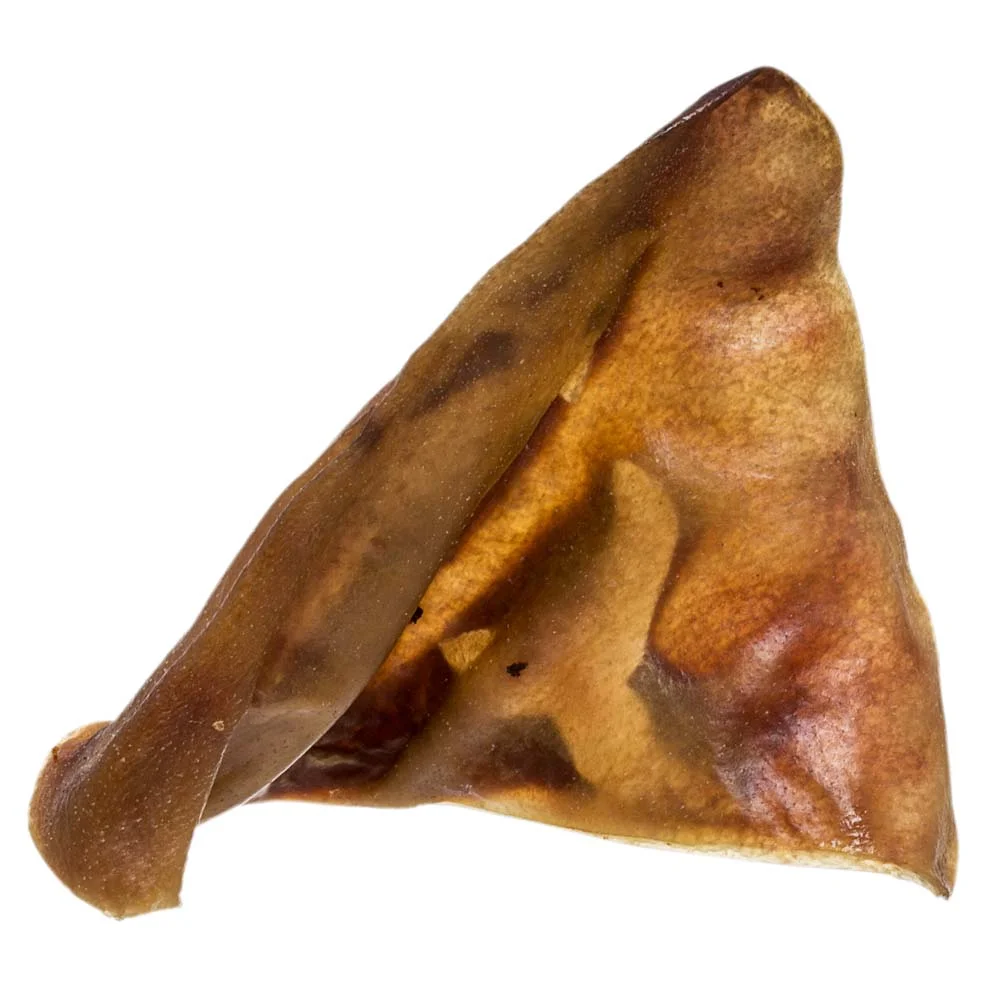 Are Pig Ears Better For A Bohemian Shepherd Than Rawhide Ears