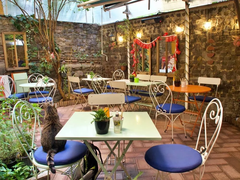 20 Best Cafes in Istanbul (2025) — Mog and Dog Travels