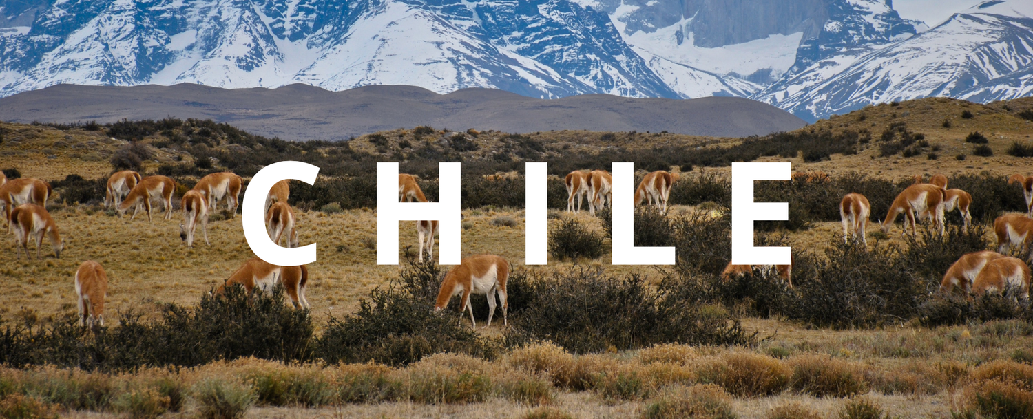 Chile — EdOdyssey