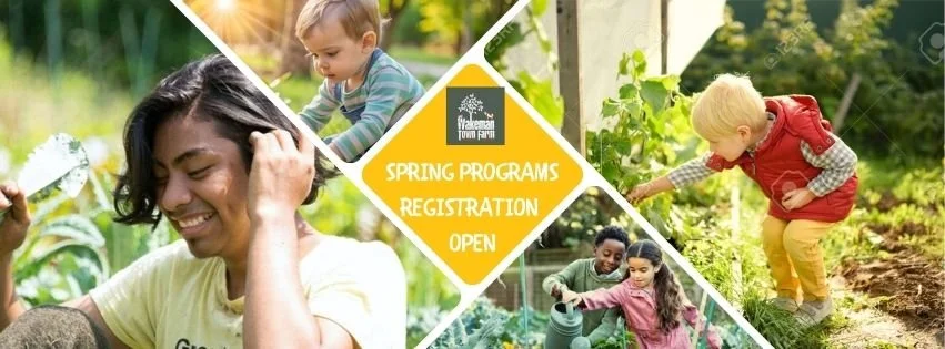 Register for Spring Farm Programs — Wakeman Town Farm