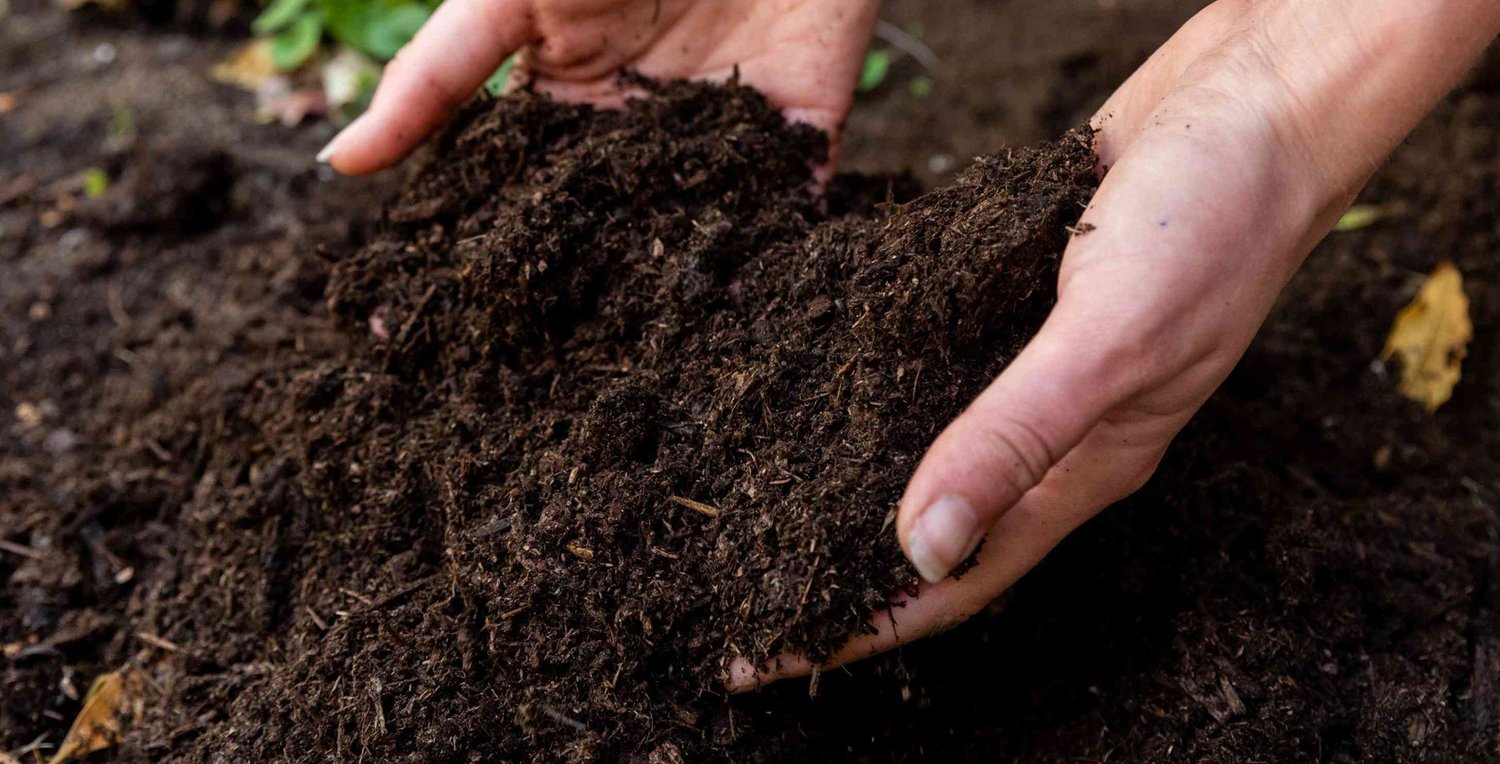 Soil is Alive! a garden lecture with horticulturist Duncan Himmelman 3. ...