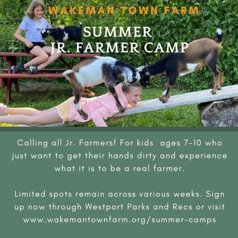 Farm Camps are the G.O.A.T! — Wakeman Town Farm