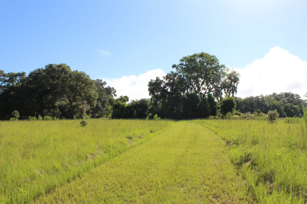Prairie Creek Conservation Cemetery