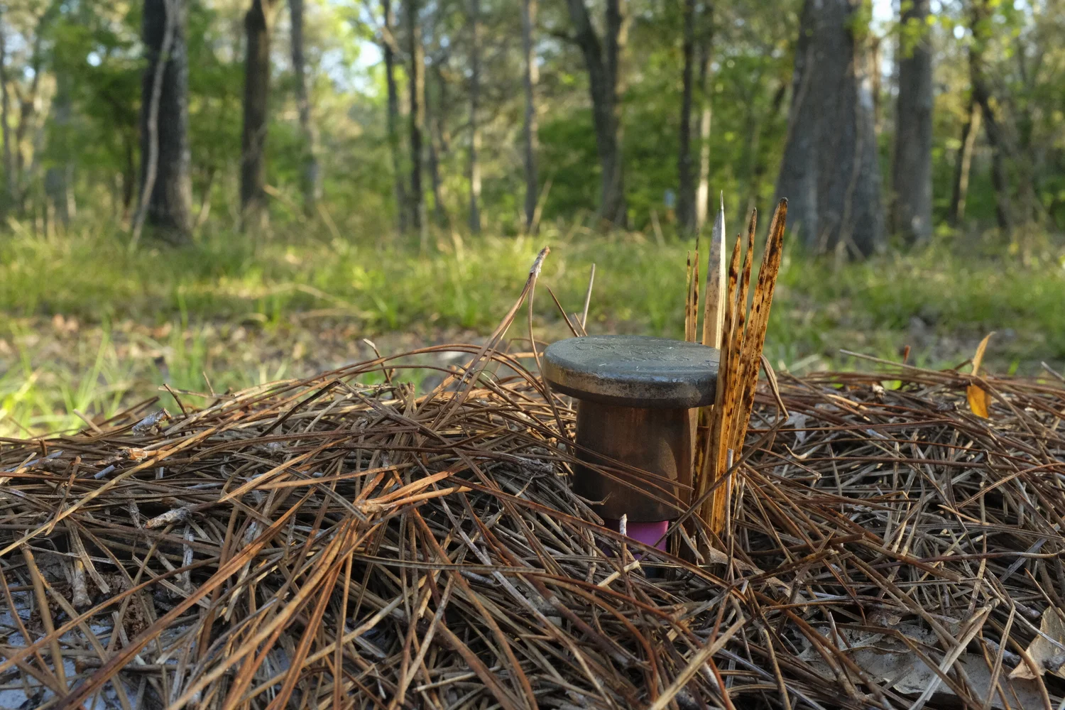 Plan A Green Burial — Prairie Creek Conservation Cemetery