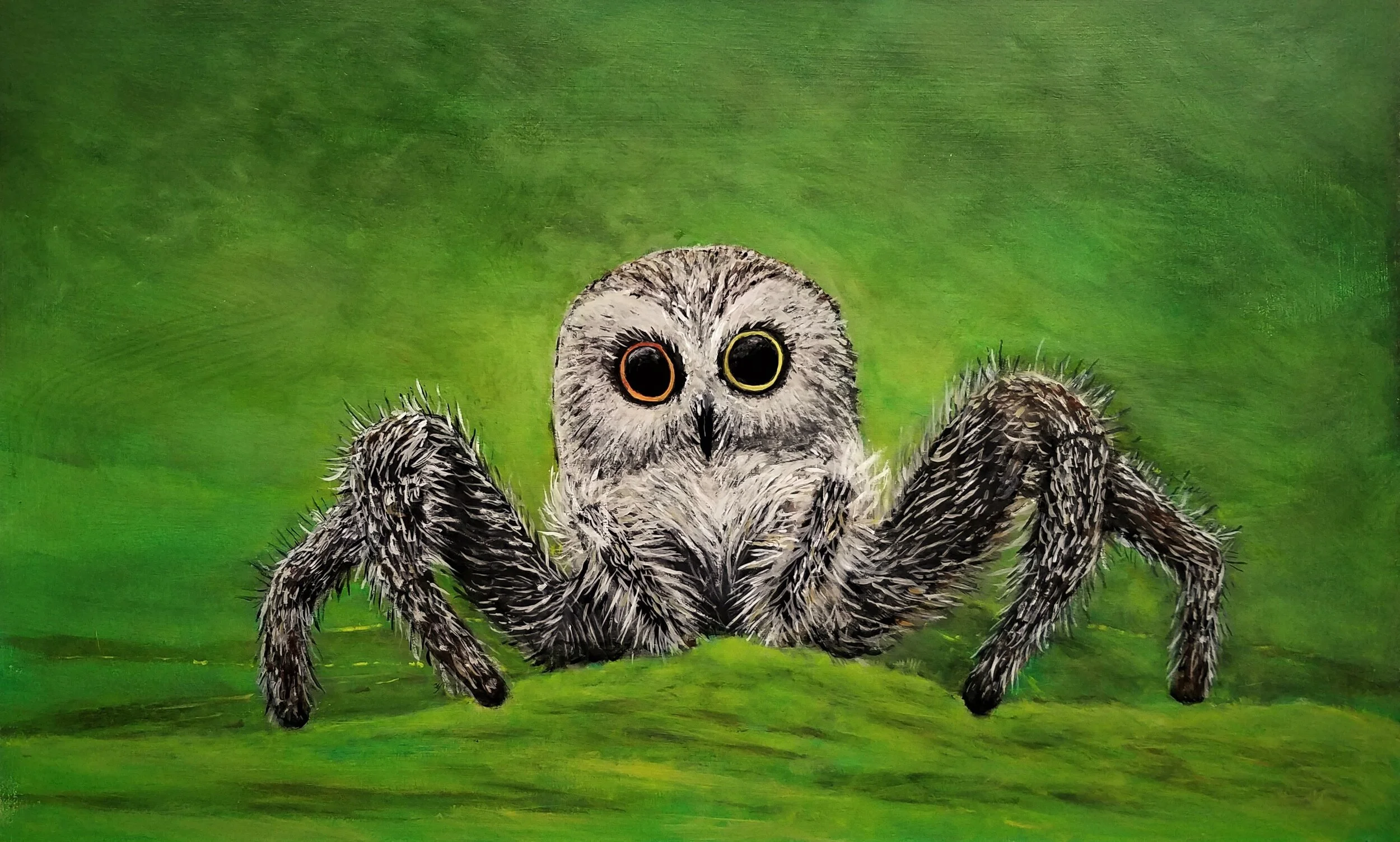 Features — GYYPORAMA