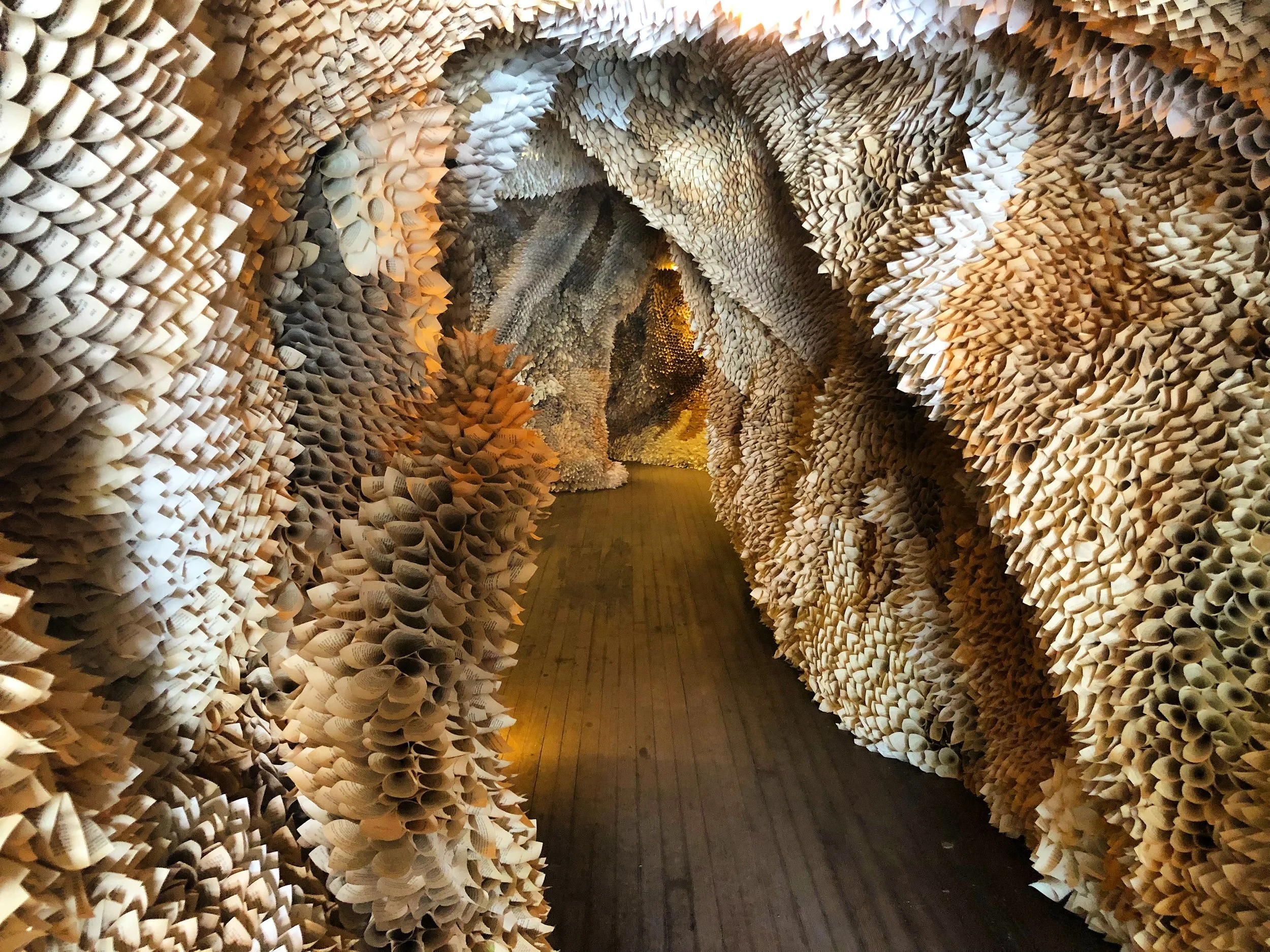 Poconos | MAY 2018 — Harris Family Fieldnotes