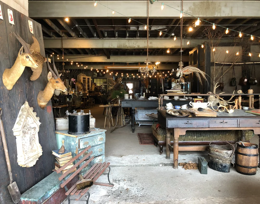 Poconos | MAY 2018 — Harris Family Fieldnotes
