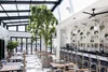 Gallery — BiXi Beer