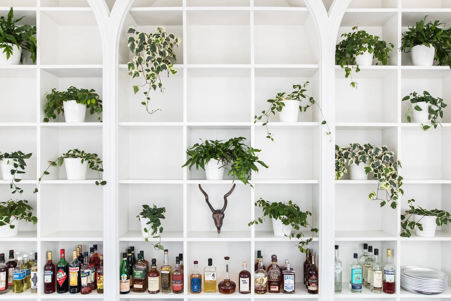 Gallery — BiXi Beer