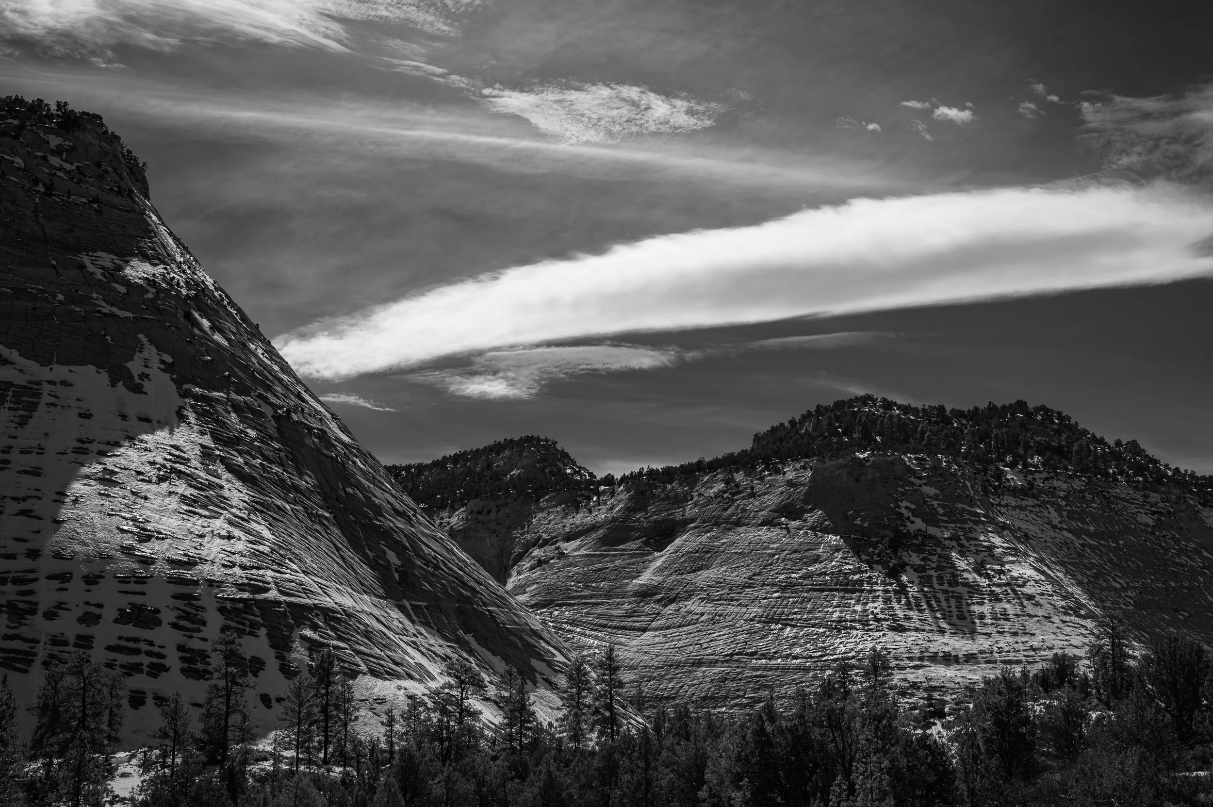Zion National Park — Barbara Livieri Photography