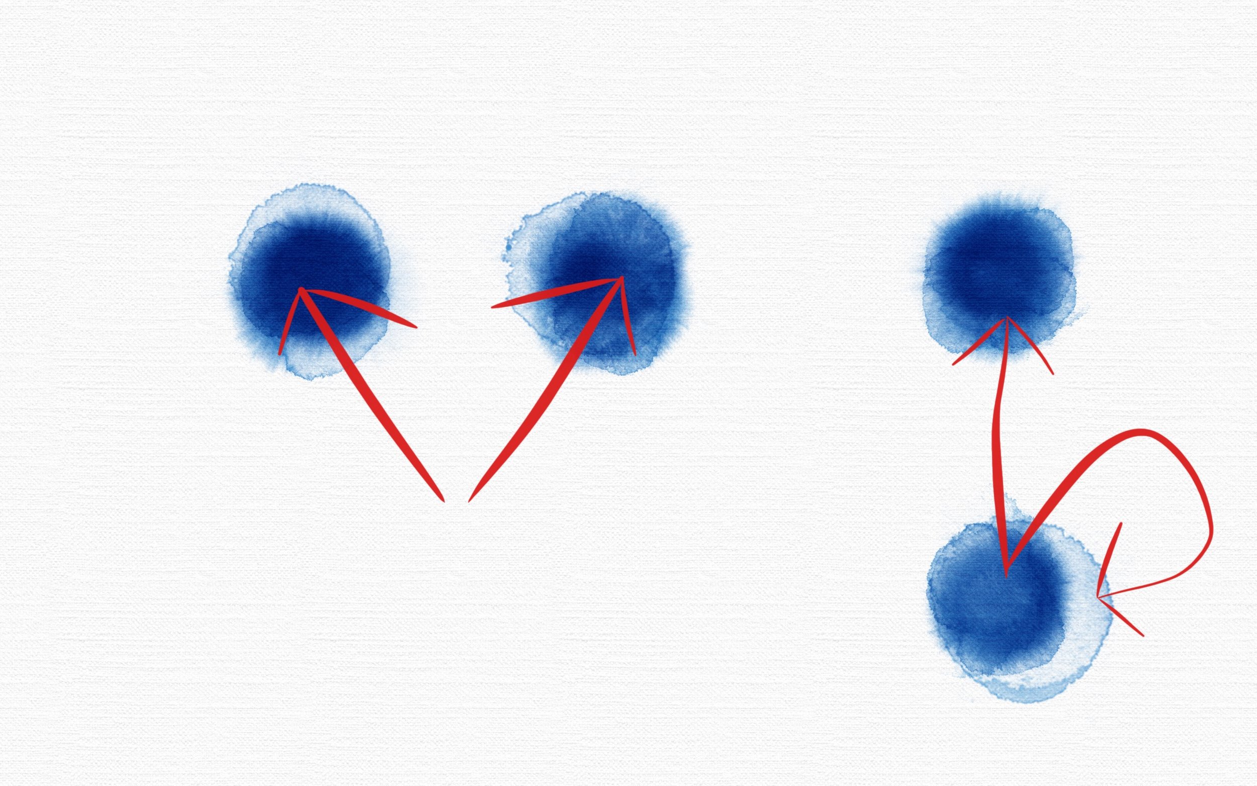 matei candea | anthropology