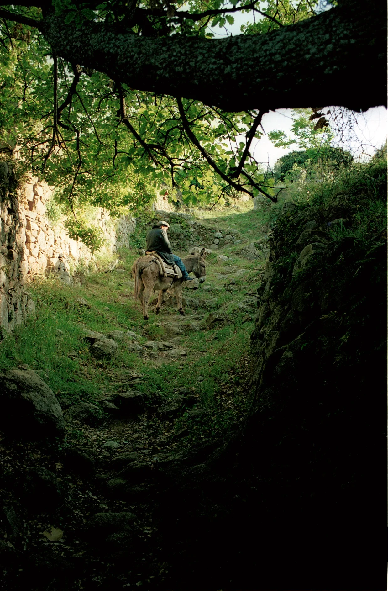 matei candea | anthropology