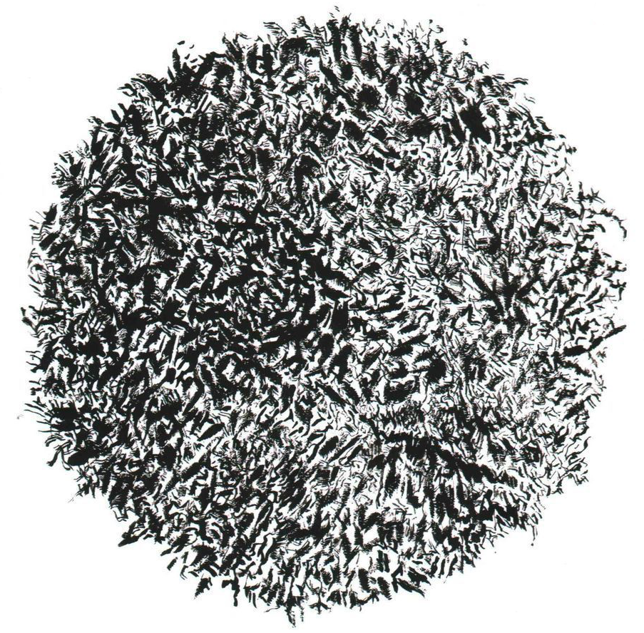 matei candea | anthropology