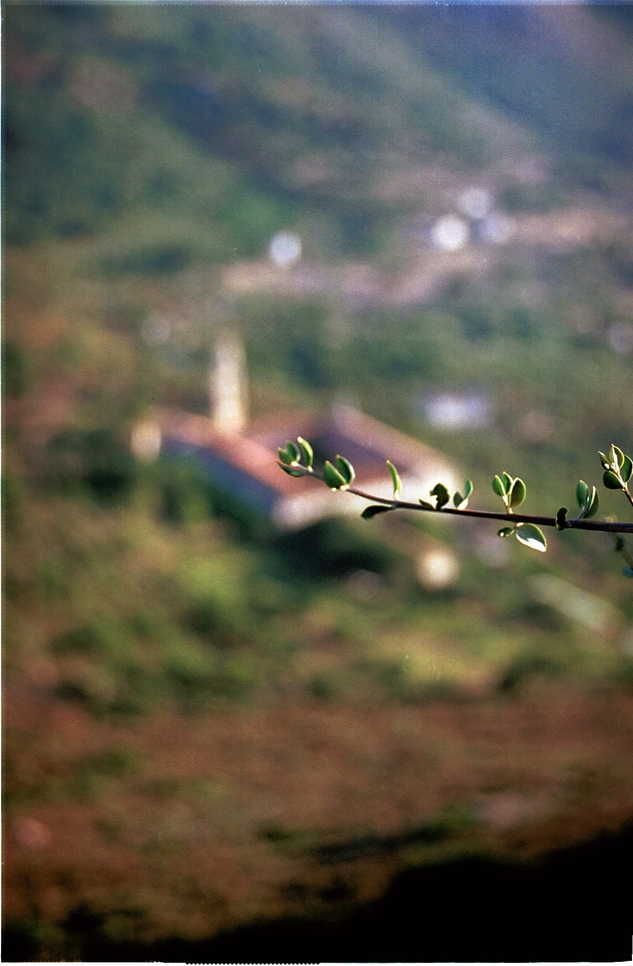 matei candea | anthropology