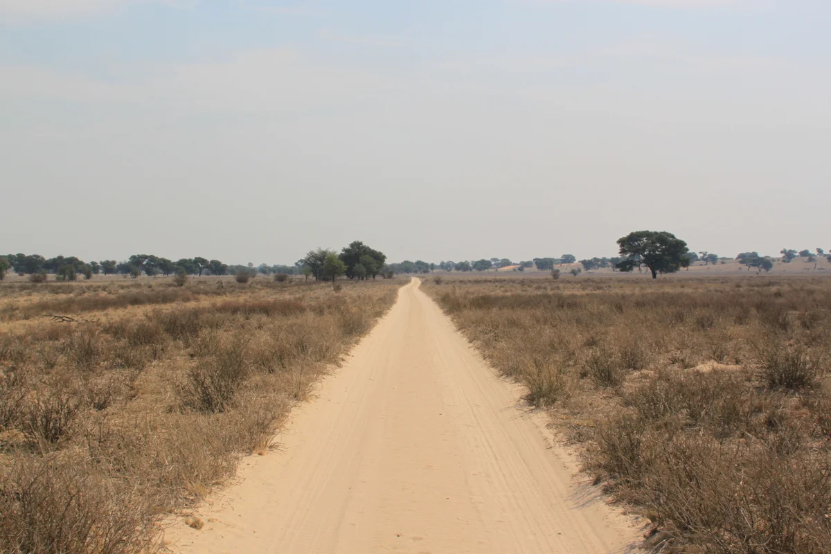 matei candea | anthropology