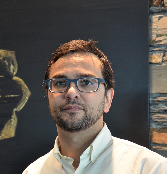 About — MARK N SHARMA