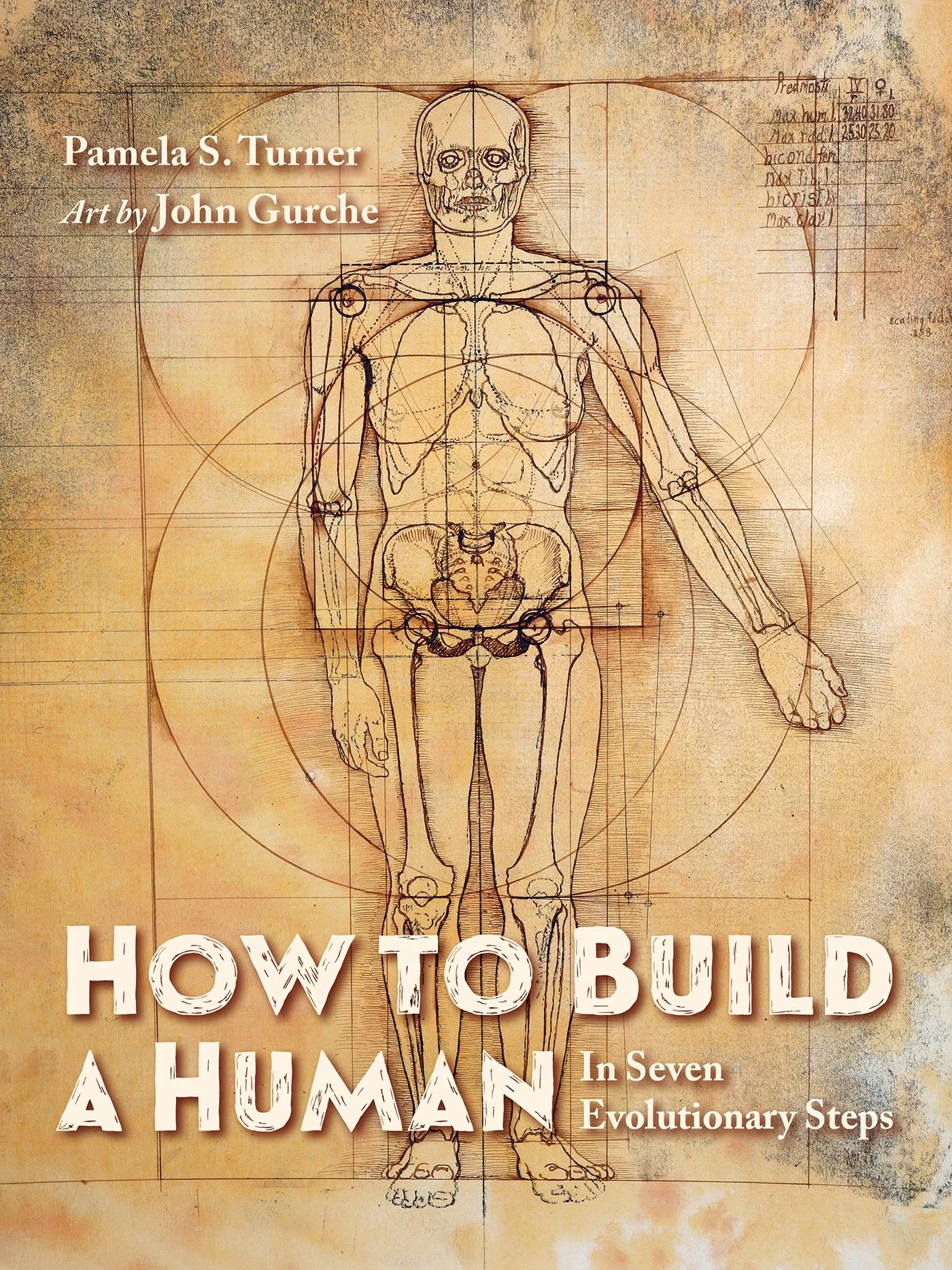 How to Build a Human: In Seven Evolutionary Steps — AAAS/Subaru Prize ...