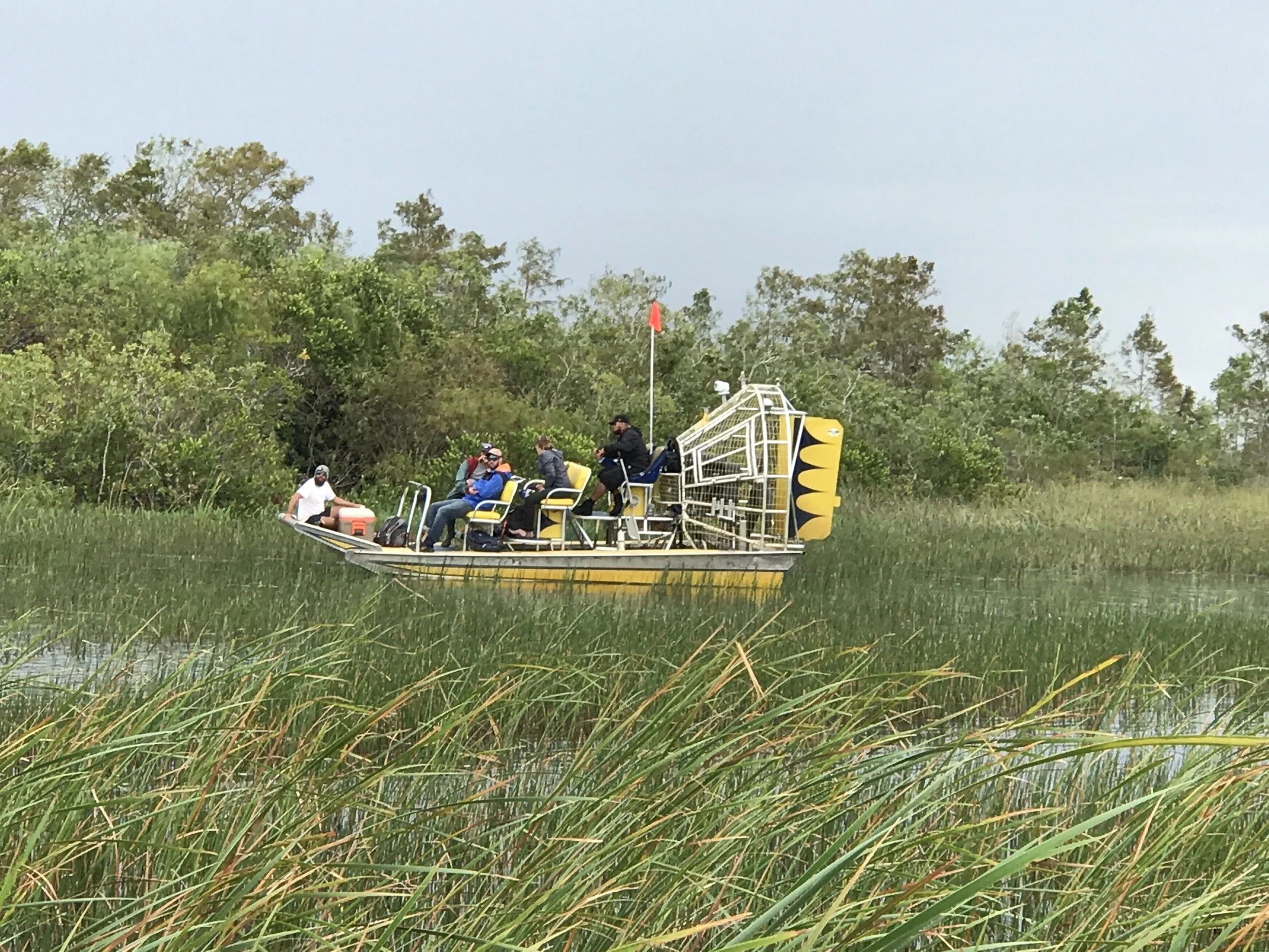 Buffalo Tiger Airboat Tours