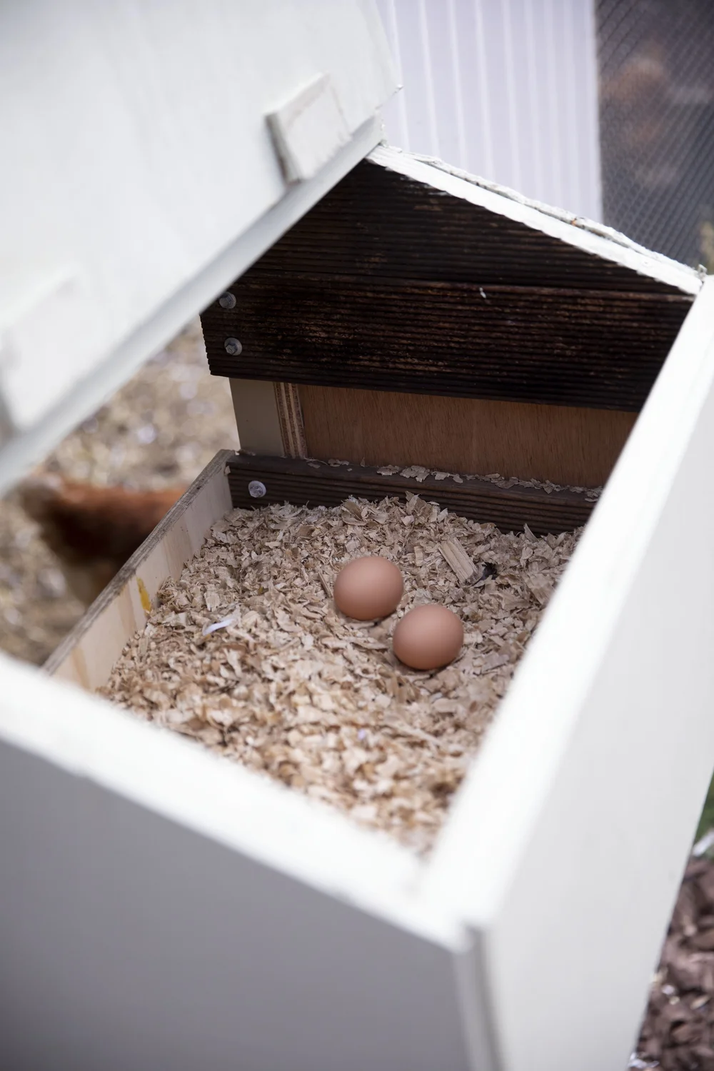 Busselton Premises — Child Matters | Teen Matters