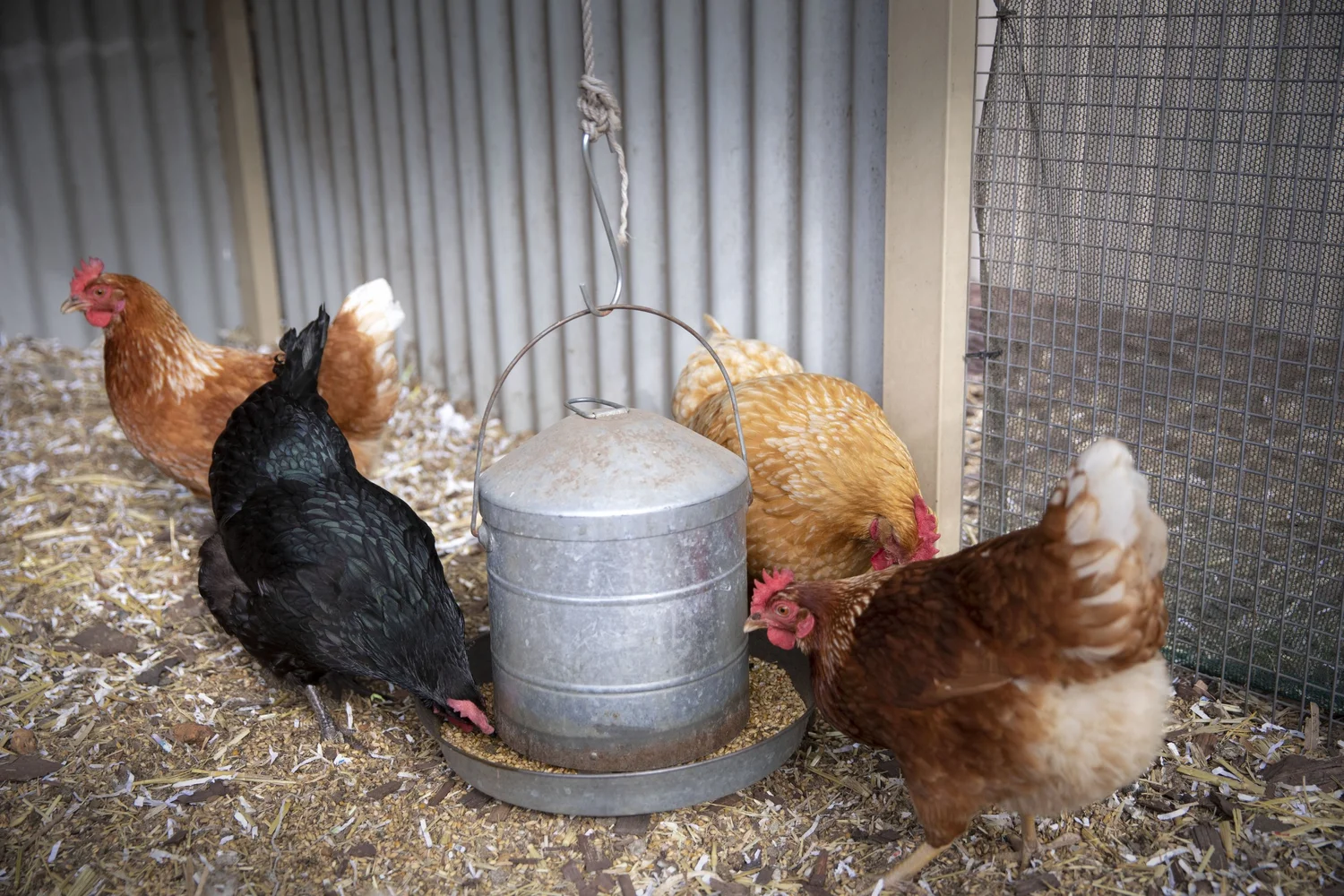 Busselton Premises — Child Matters | Teen Matters