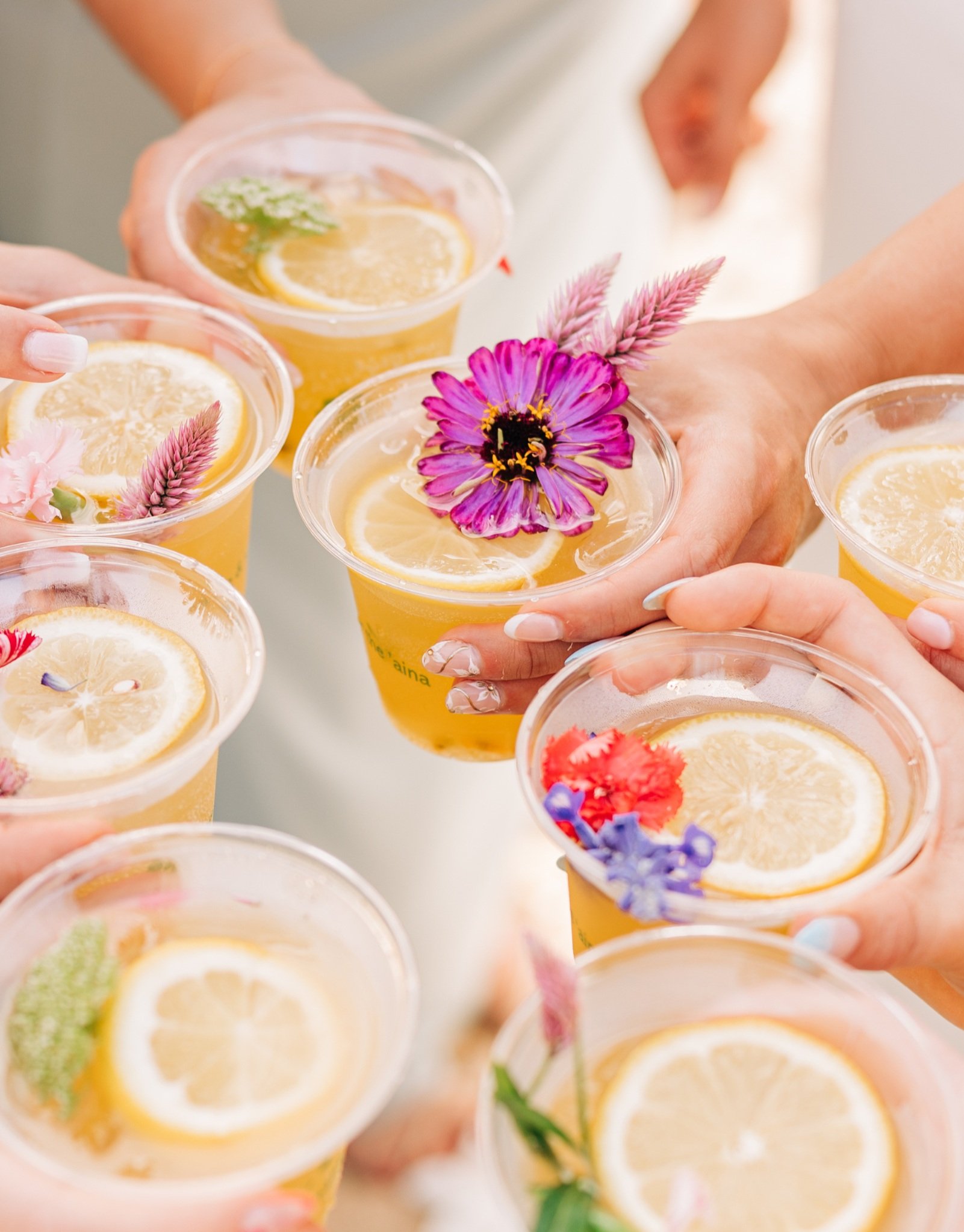 Gazoz | Mobile Bar Oahu | Fruity, Fizzy, & Fresh Cocktails