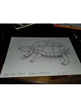Turtle Shell Drawing Side View
